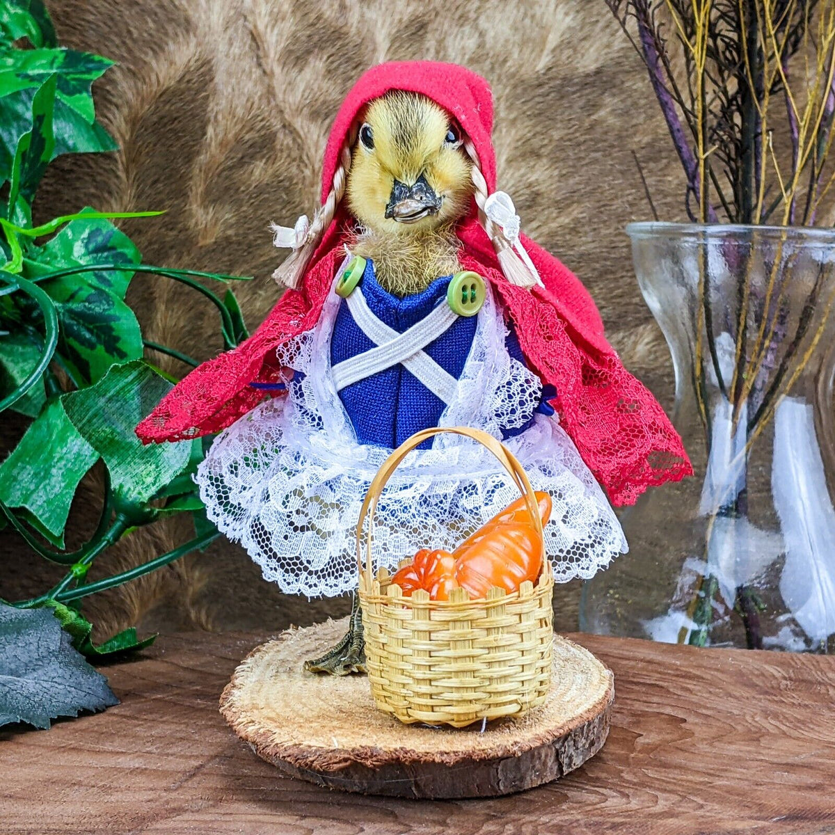 Little Red Riding Hood Baby Duck – Scenic City Oddities