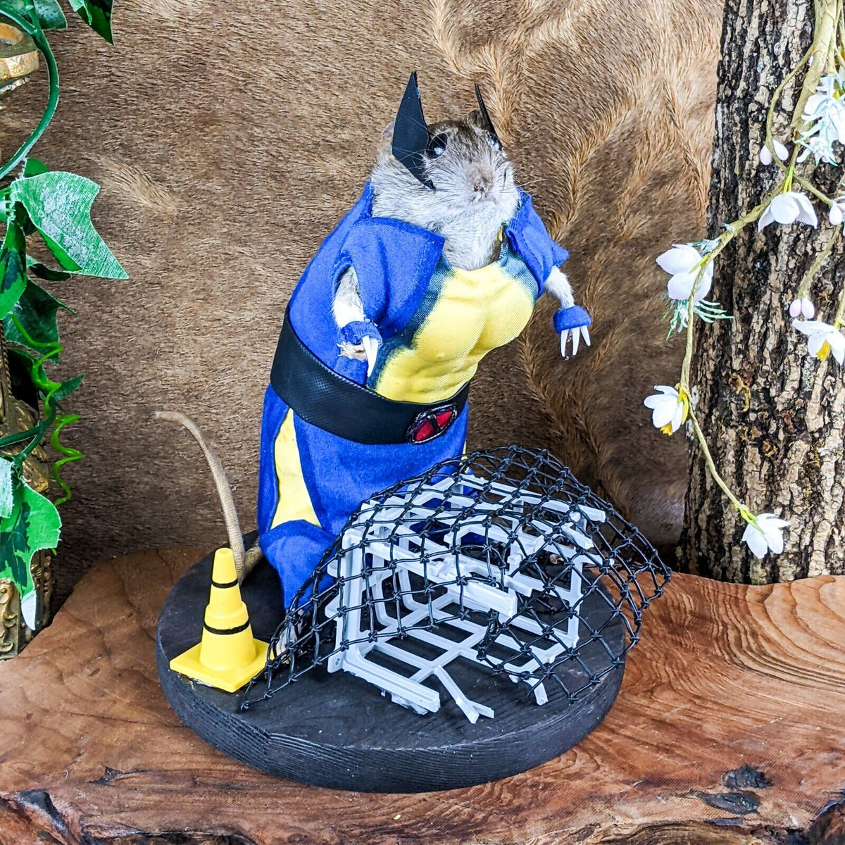 Wolverine Superhero Rat – Scenic City Oddities