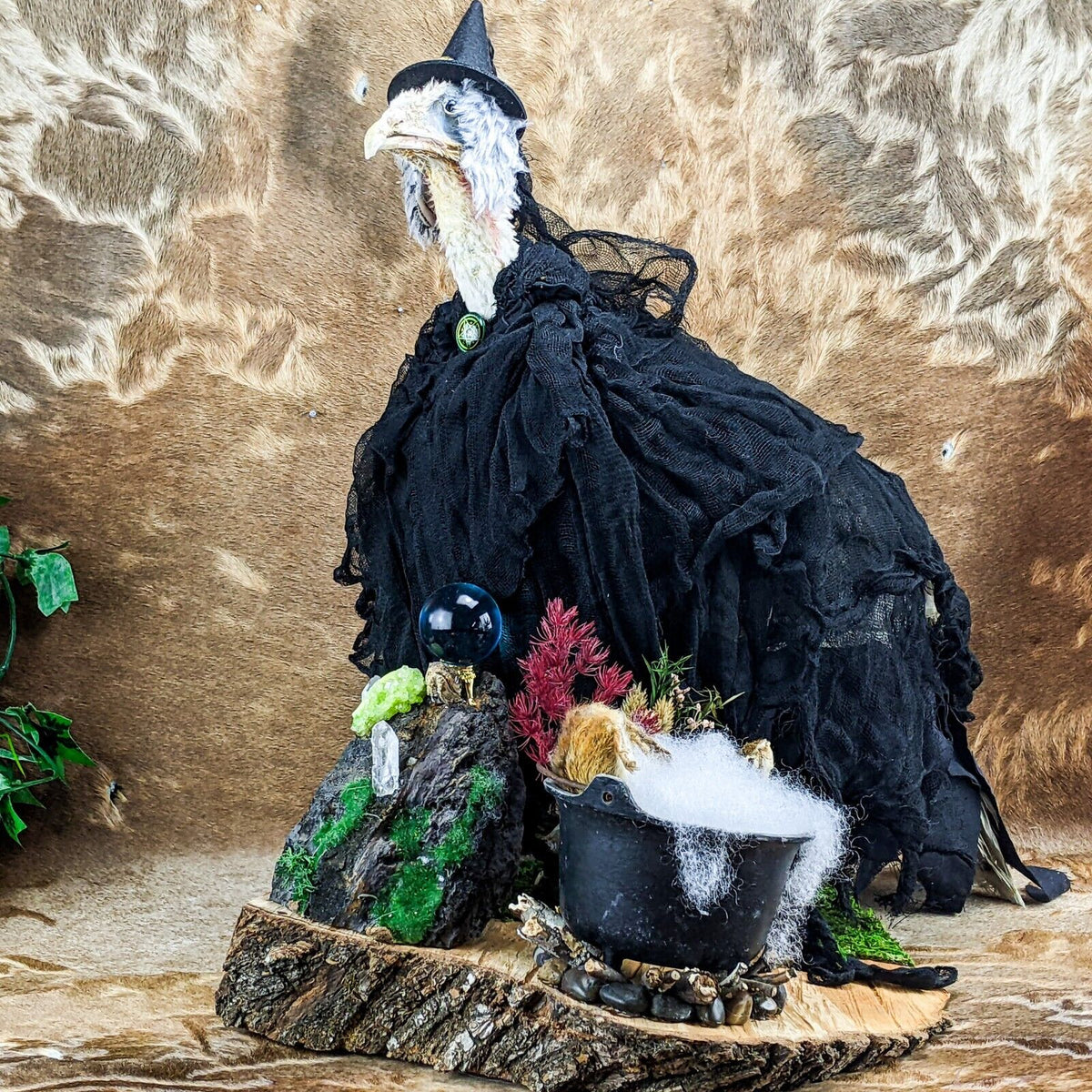 Turkey Witch – Scenic City Oddities