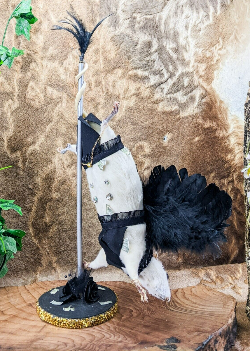 Stripper Rat Pole Burlesque Showgirl – Scenic City Oddities
