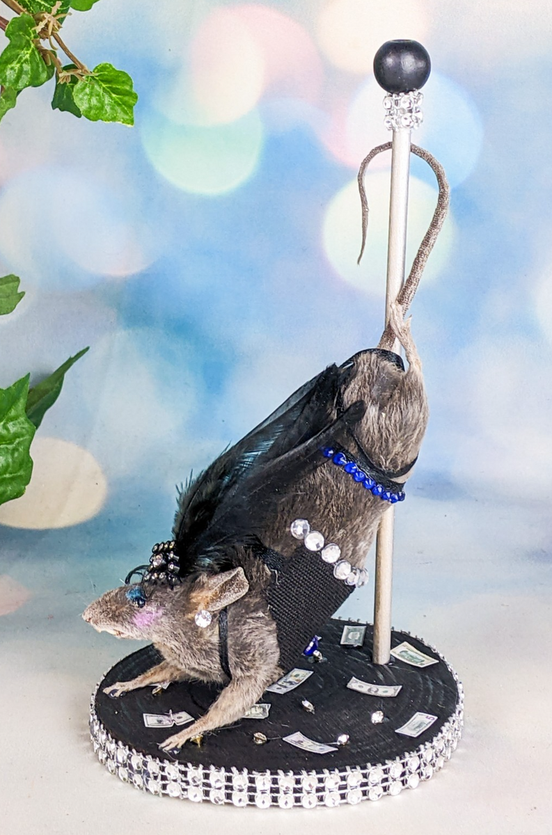 Stripper Mouse Pole Burlesque – Scenic City Oddities