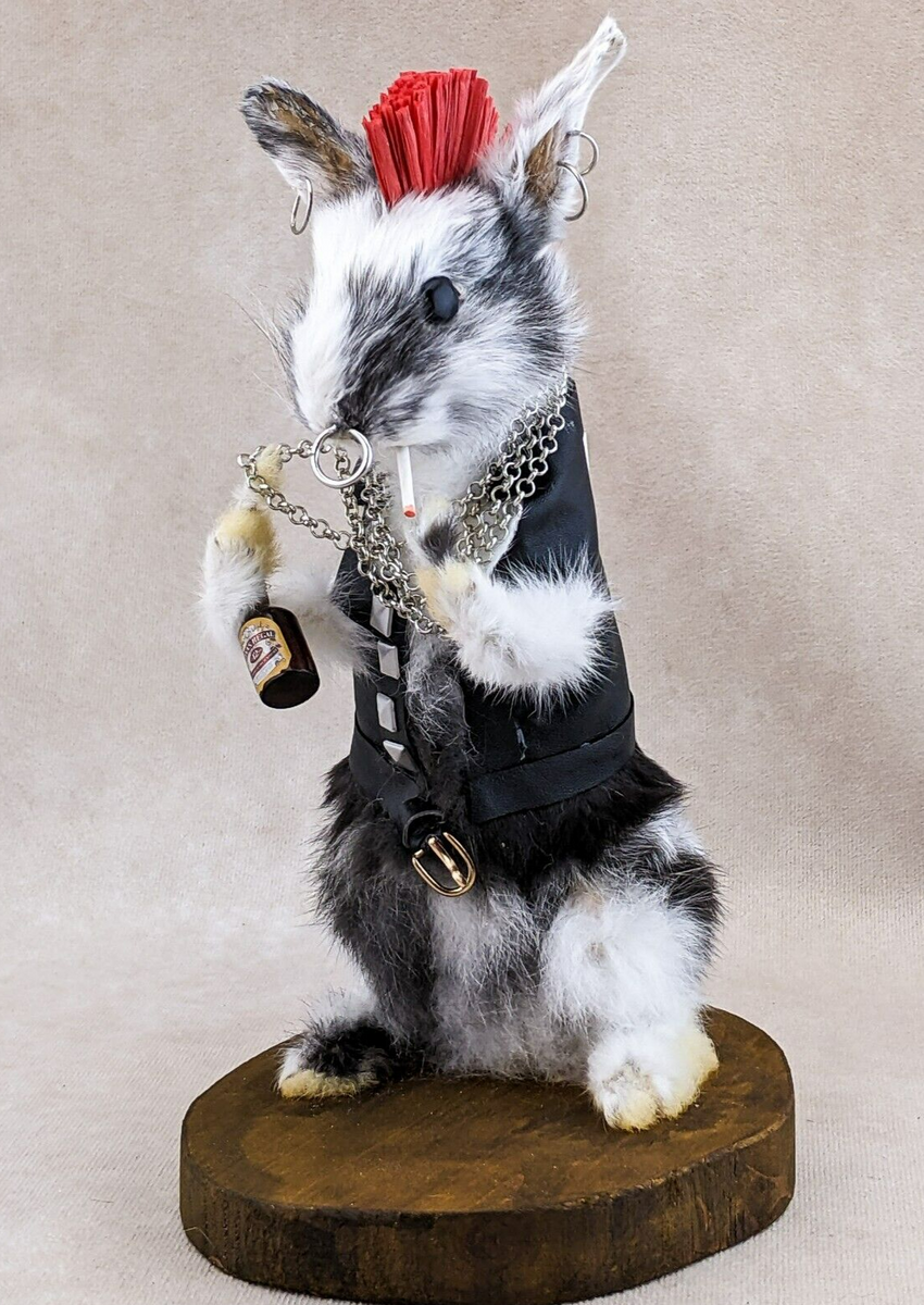 Punk Rabbit – Scenic City Oddities