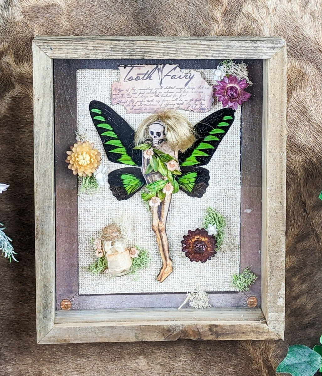 Gothic Woodland Tooth Fairy Shadowbox – Scenic City Oddities