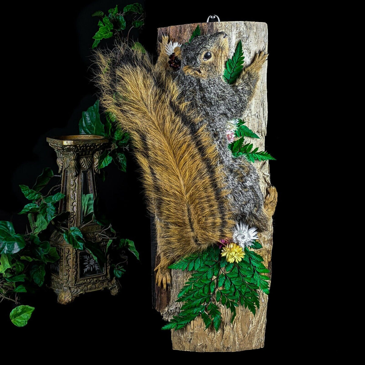 Monster Fox Squirrel Climbing – Scenic City Oddities
