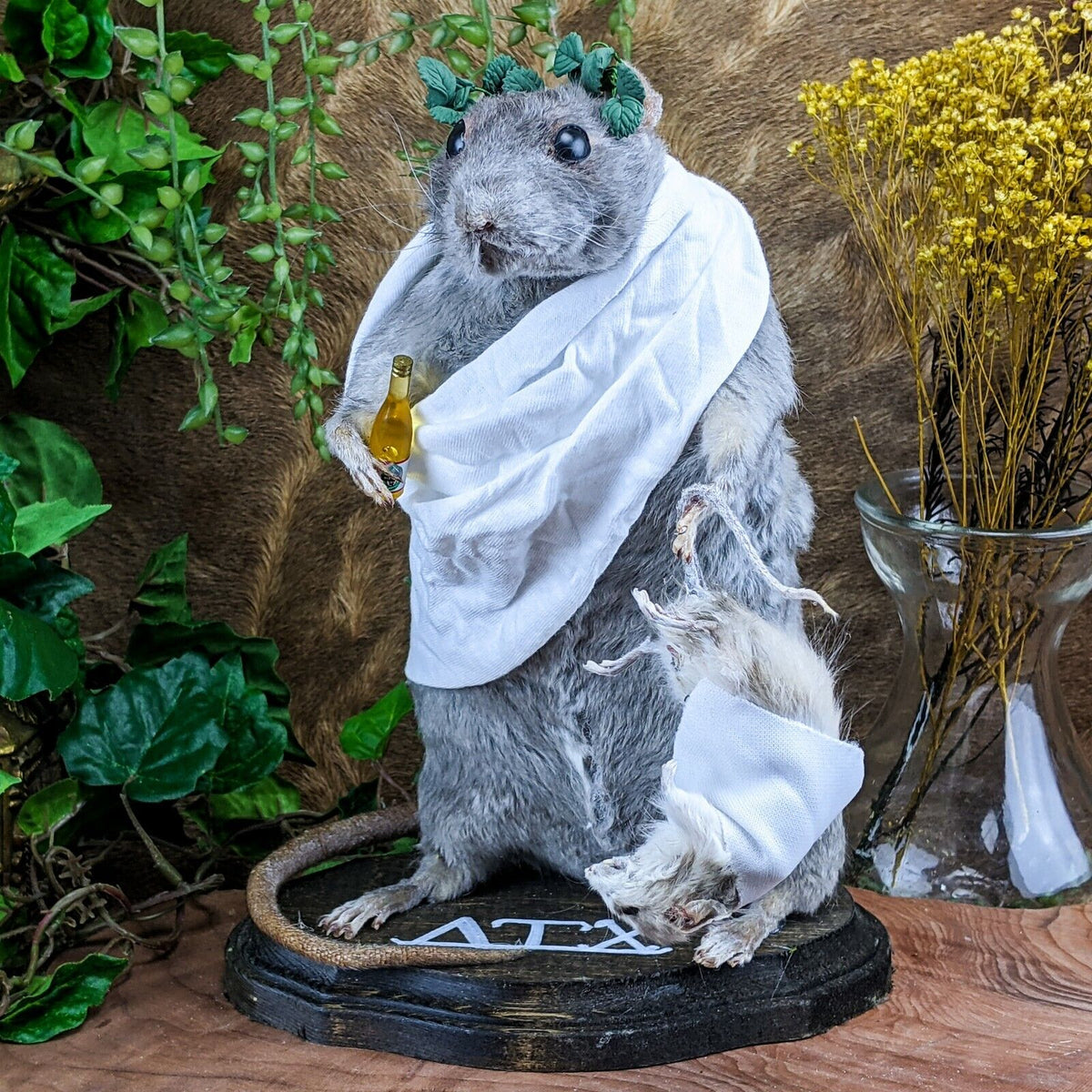 Frat Rat Animal House – Scenic City Oddities