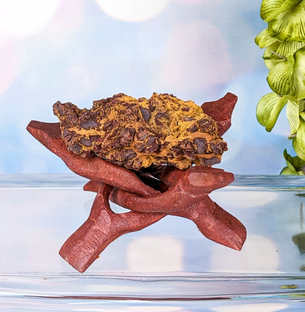 Dinosaur Poop Fossil – Scenic City Oddities