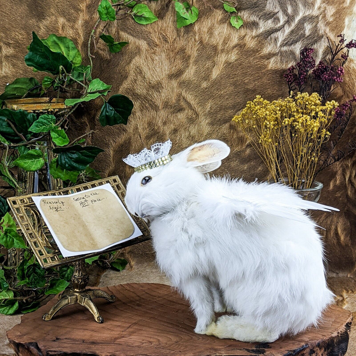 Angel Bunny Saint Peter Rabbit – Scenic City Oddities
