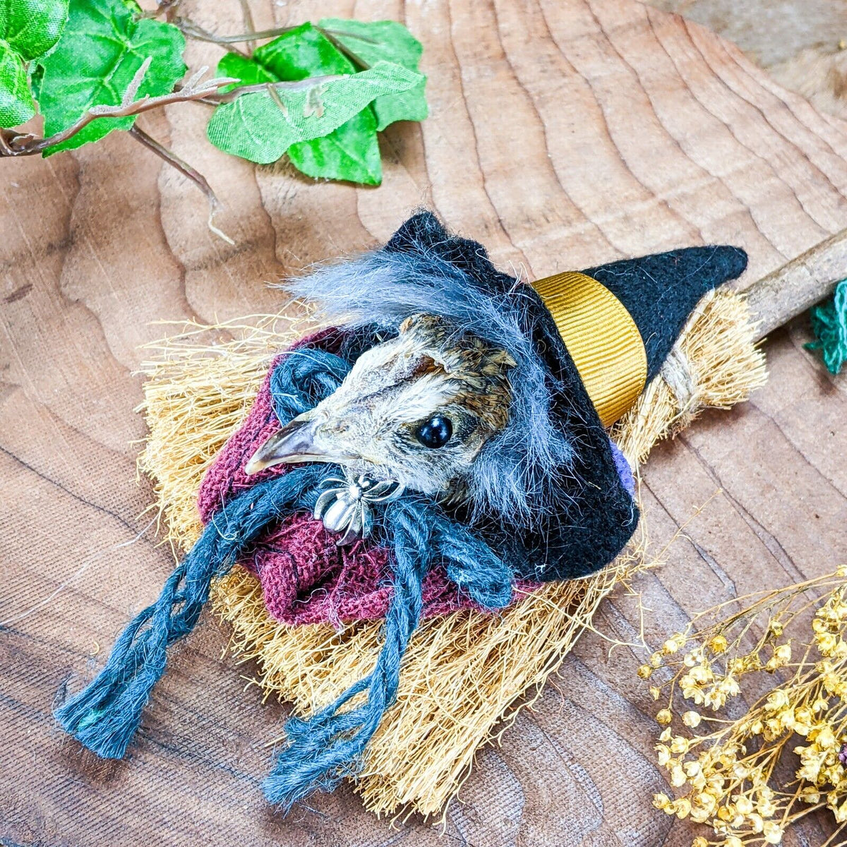 Chicken Witch Broom display – Scenic City Oddities