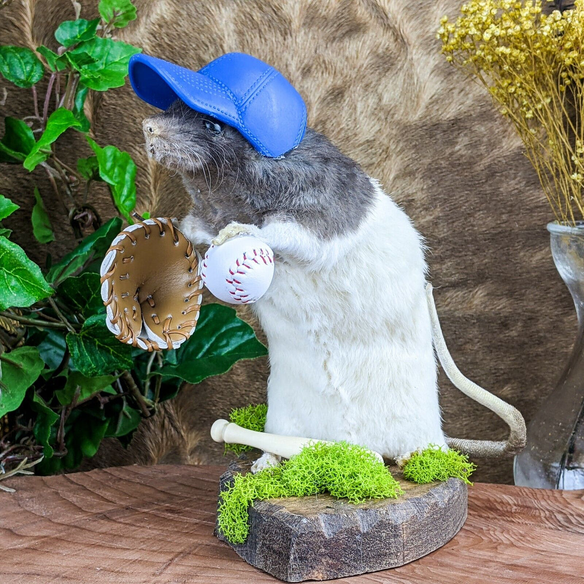 Baseball Rat Pitcher – Scenic City Oddities