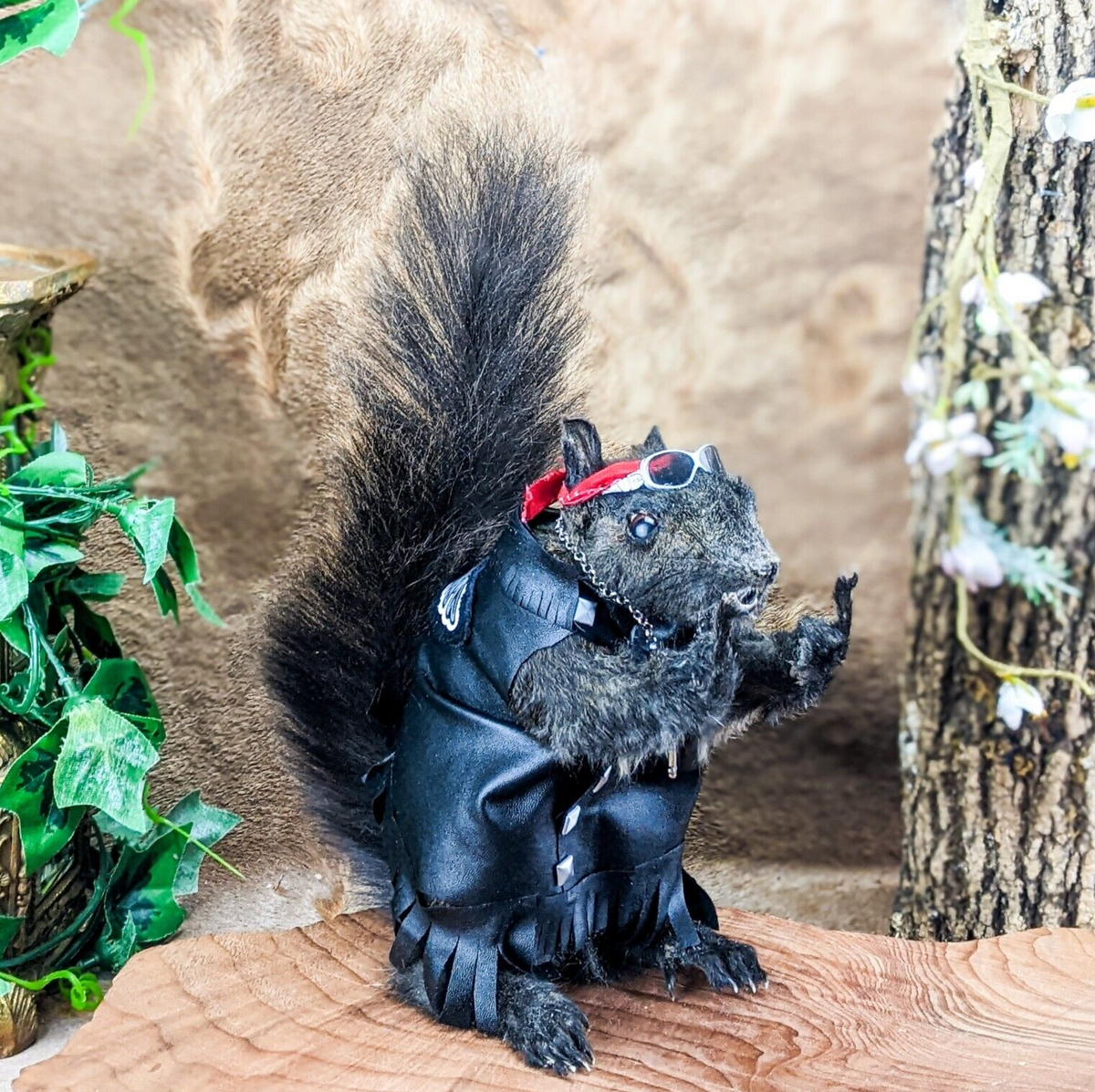 Biker Squirrel Flipping the Bird Display – Scenic City Oddities