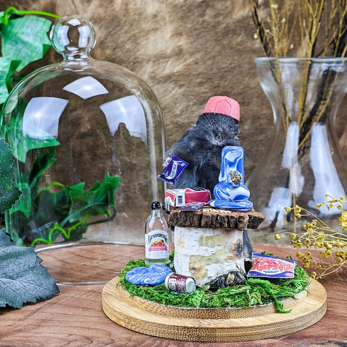 Tyler the Stoner Mouse Glass Dome – Scenic City Oddities