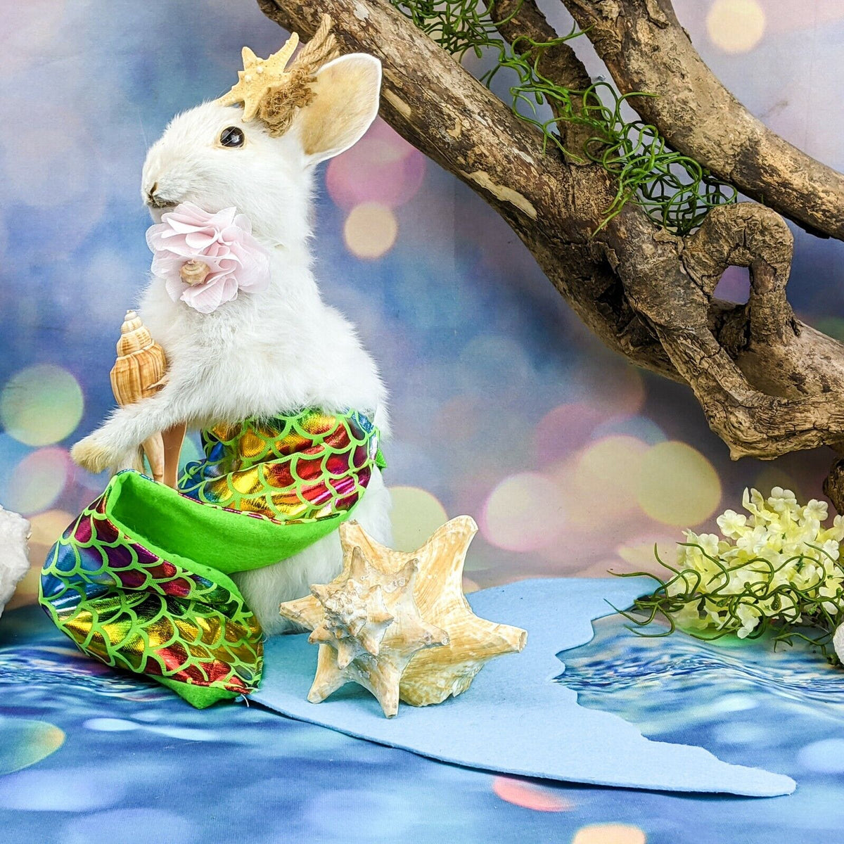 Baby Bunny Rabbit Mermaid Display – Scenic City Oddities