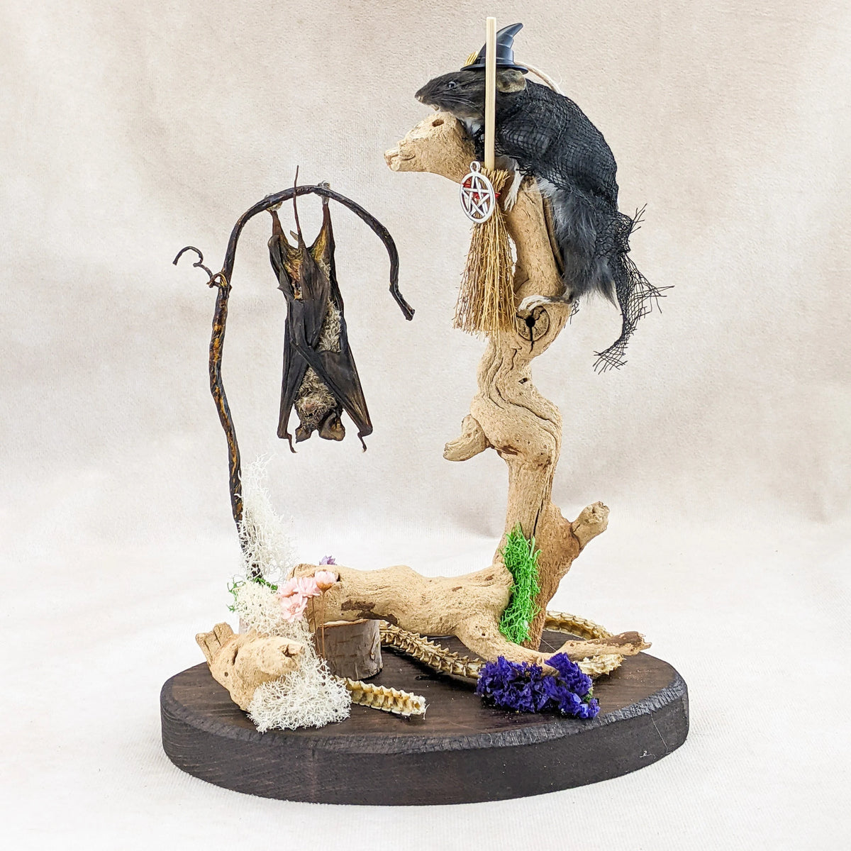 Otomops Formosus Bat w/ Witch Mouse Display Stand – Scenic City Oddities